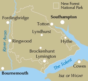 Walking in the New Forest Guidebook | Cicerone Press