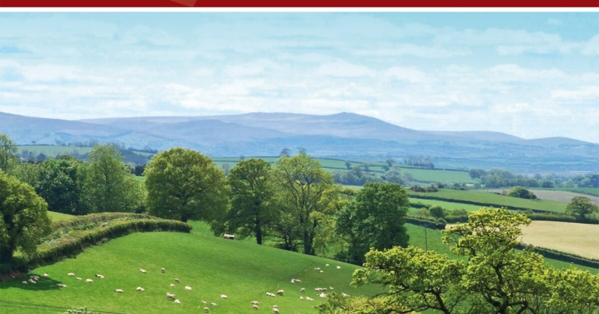 Two Moors Way walking guidebook – trek the Devon… | Cicerone Press