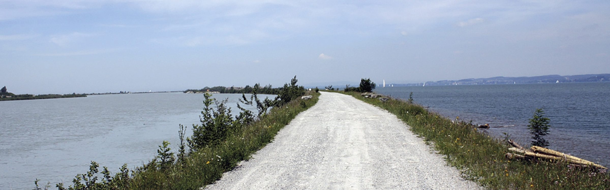 The Rhine Cycle Route: ultimate planning guide | Cicerone Press