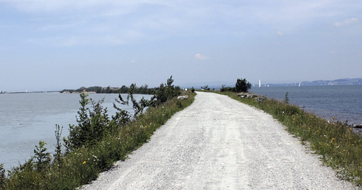 The Rhine Cycle Route: ultimate planning guide | Cicerone Press