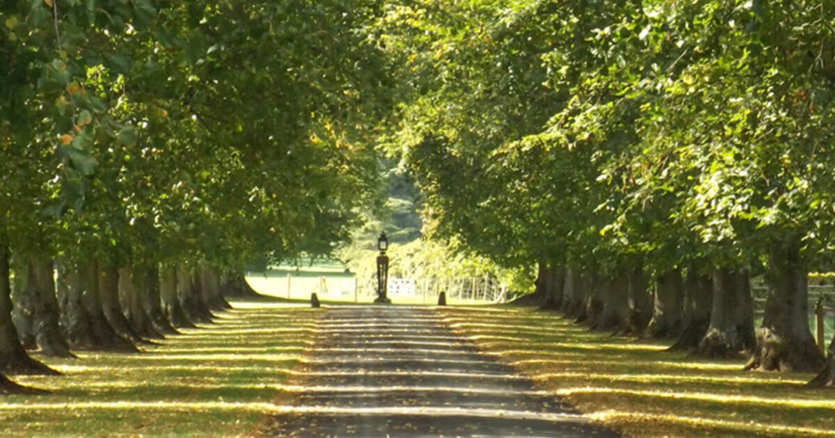 An introduction to the Pilgrims’ Way | Cicerone Press