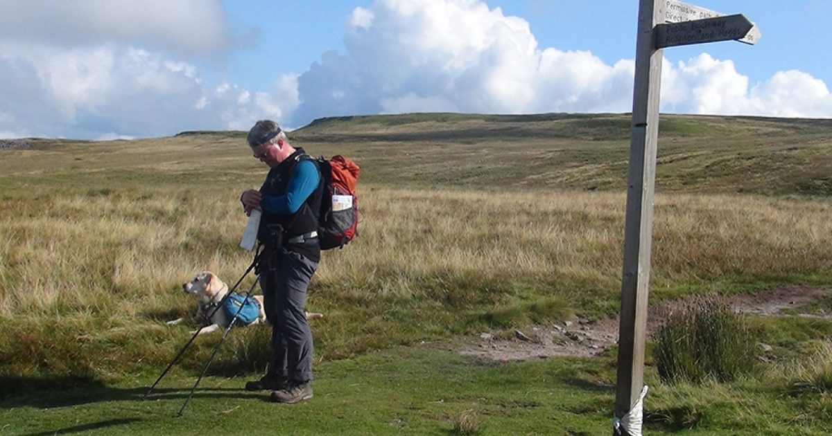 How to go long-distance walking with a dog | Cicerone Press
