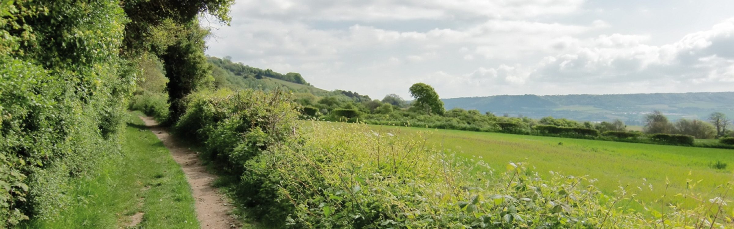 An introduction to the North Downs Way | Cicerone Press