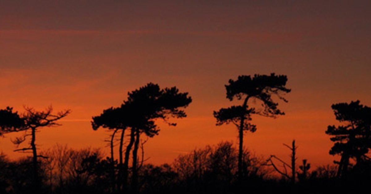 Walking in Suffolk - three easy week long trails | Cicerone Press