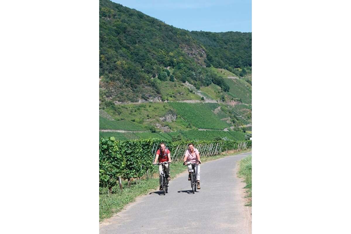 Moselle Cycle Route Guidebook - the Vosges to Koblenz | Cicerone Press