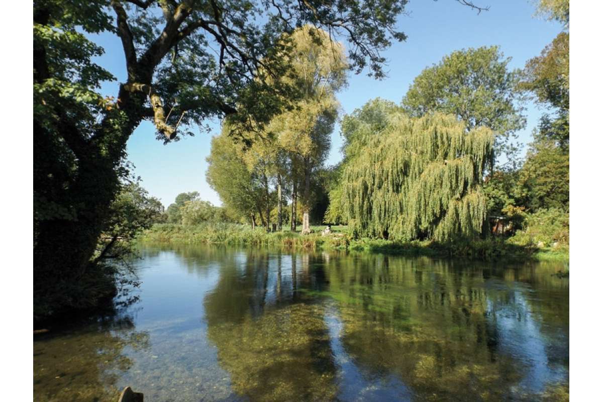 Pilgrims' Way Guidebook - Winchester to Canterbury | Cicerone Press