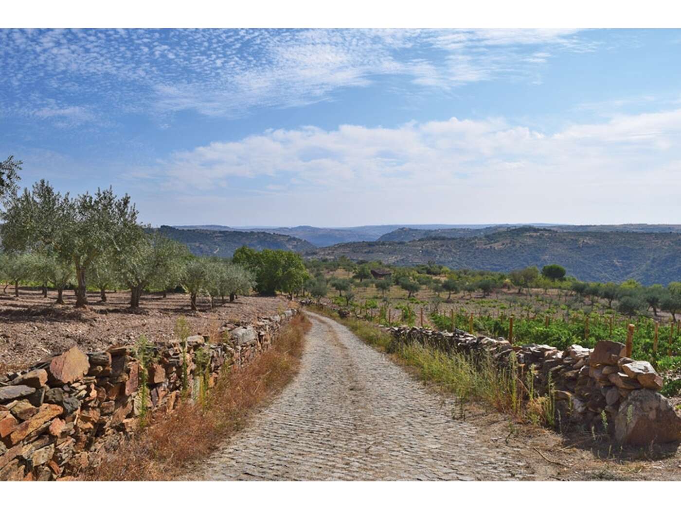 Portugal walking guidebook - explore Portugal | Cicerone Press