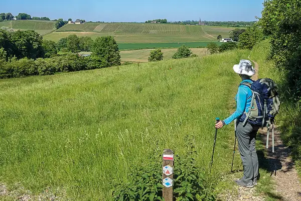 GR5 walking guidebook - trek from Hoek van Holland… | Cicerone Press