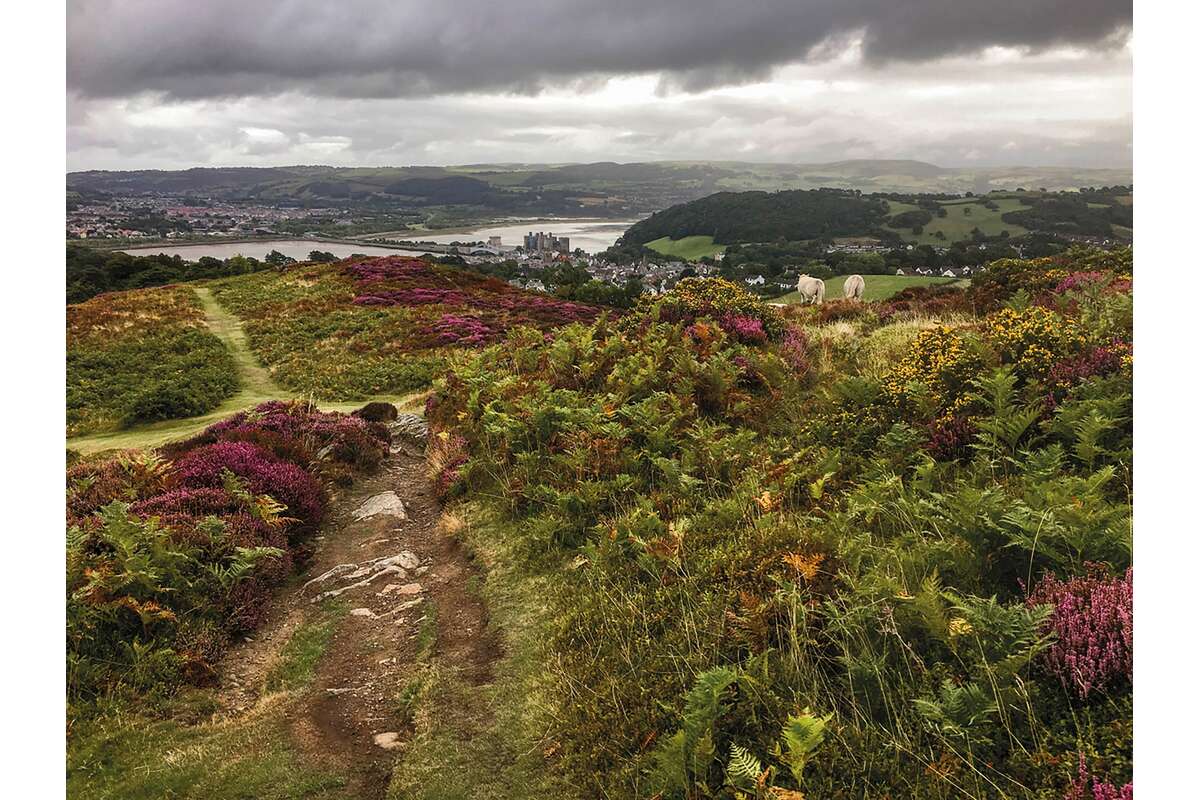 The Cambrian Way Guidebook | Cicerone Press