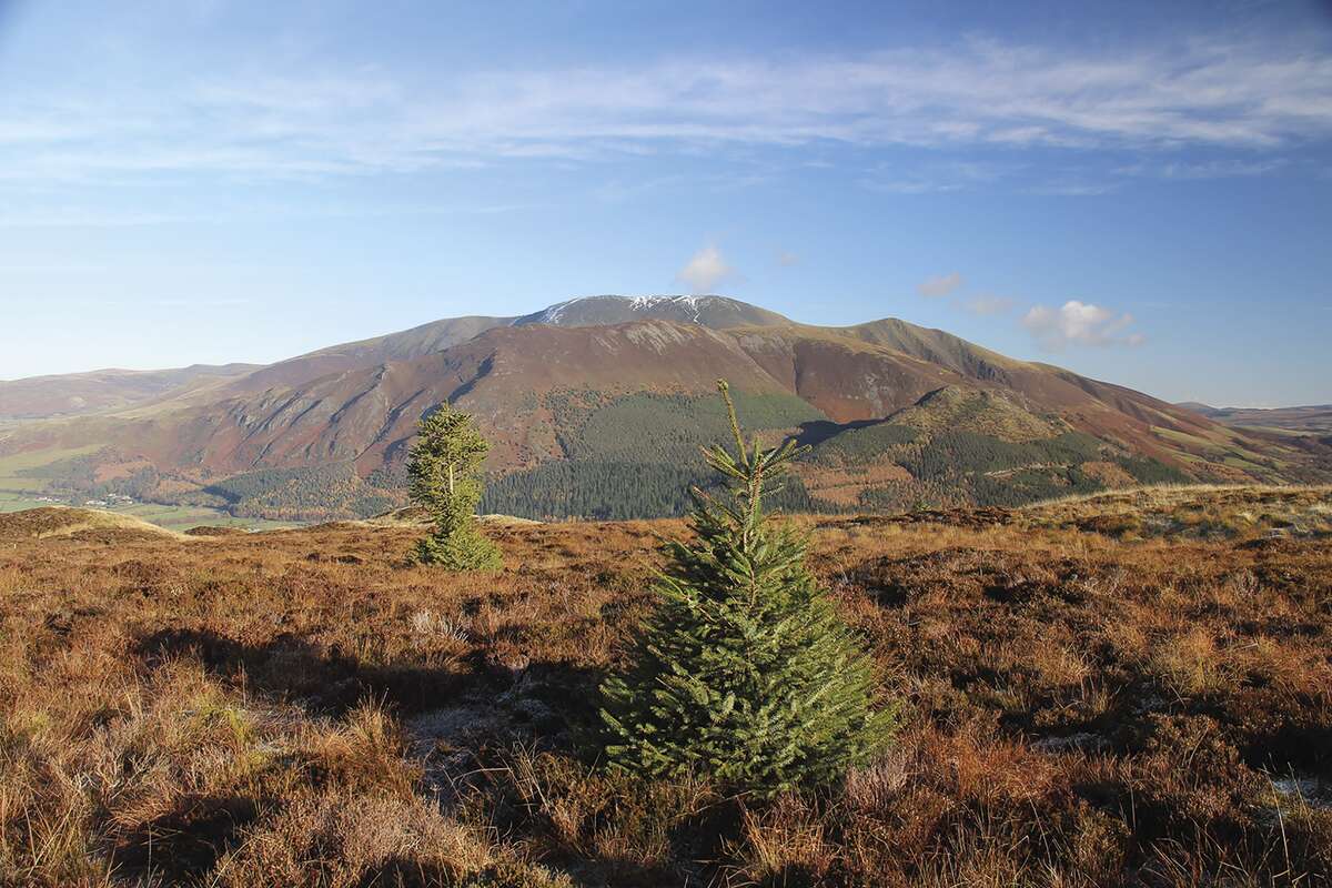 Walking the Lake District Fells - Keswick Guidebook | Cicerone Press